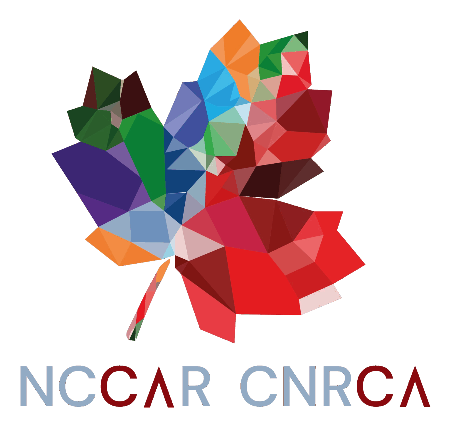 National Council on Canada-Arab Relations – Toronto Arab Film